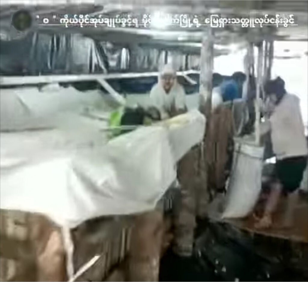 Satellite images expose rare earth mining expansion in northern UWSA area of Mong Bawk - Shan ...